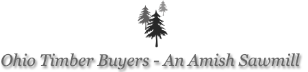 Ohio Timber Buyers: Cash in Advance for Standing Hardwod Timber ...